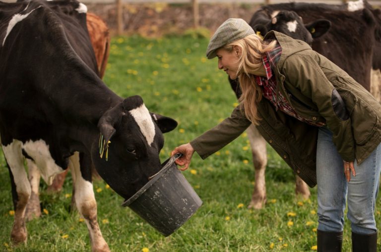 Societatea Națională a Sării - salrom.ro